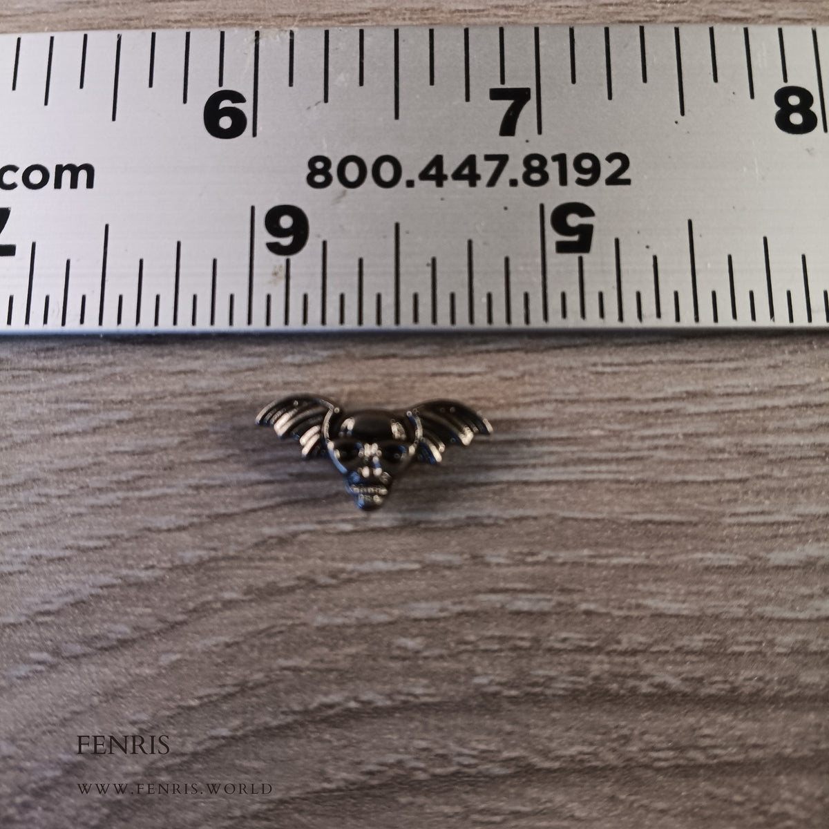 Bat Winged Skull Rivets Studs Silver – Fenris
